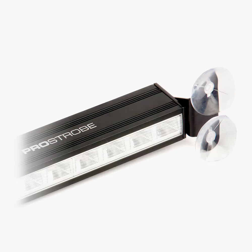 Strobe & Safety – Alpena